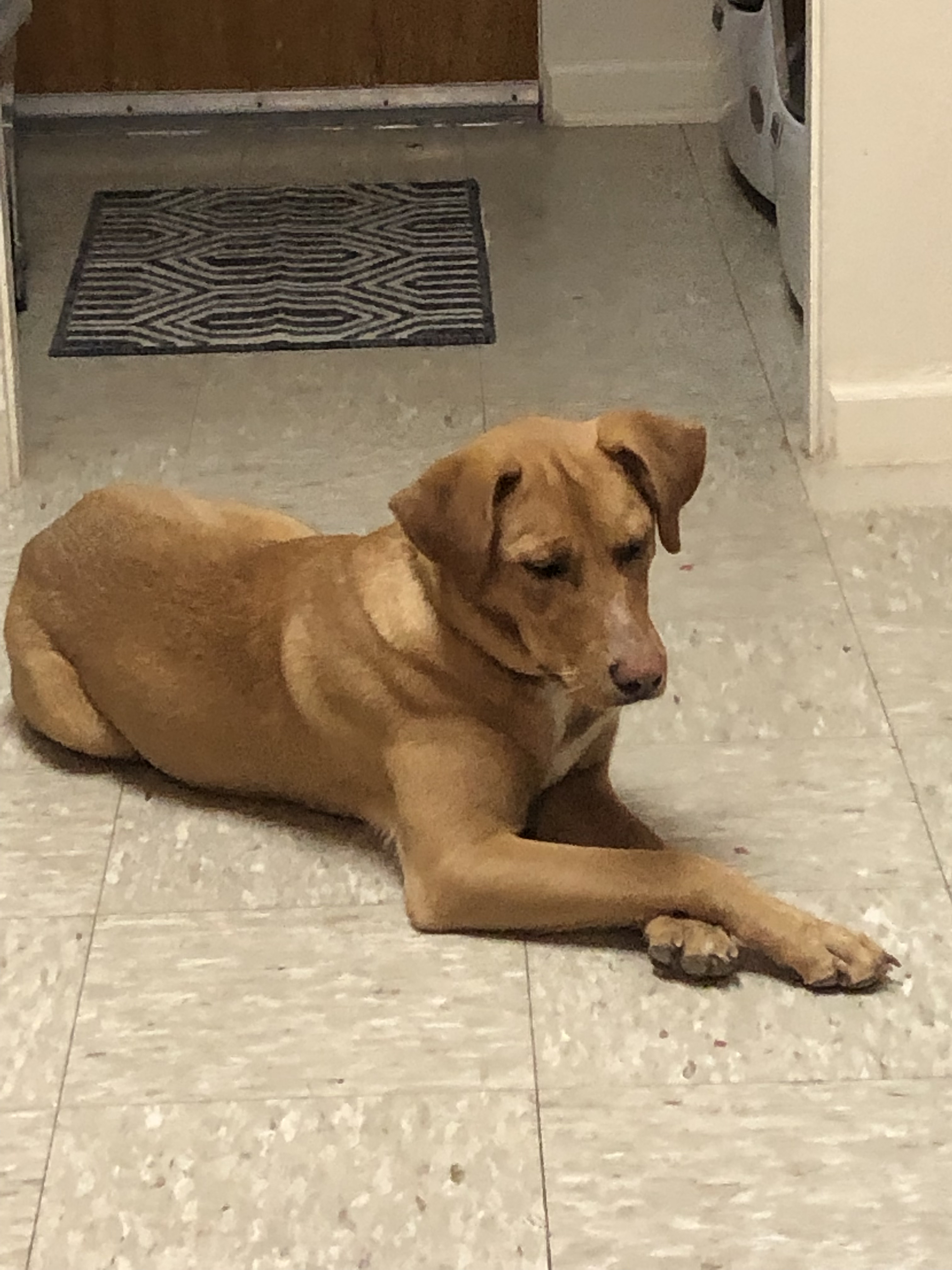 Tabitha – Enough For Me